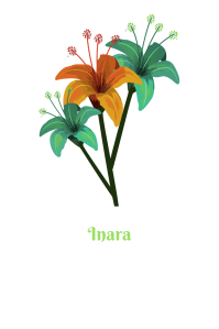 Ināra, Inara | Legitimate Baby Names