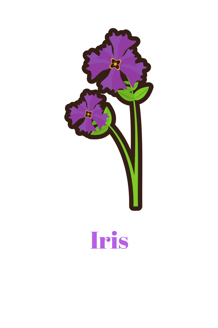 Iris - Legitimate Baby NamesLegitimate Baby Names