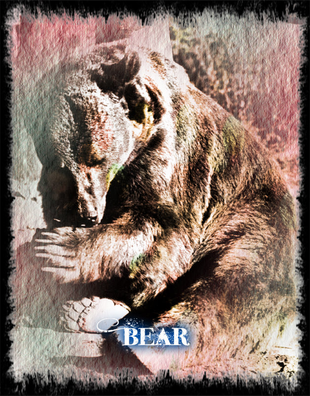 Bear Lenormand | Legitimate Baby Names